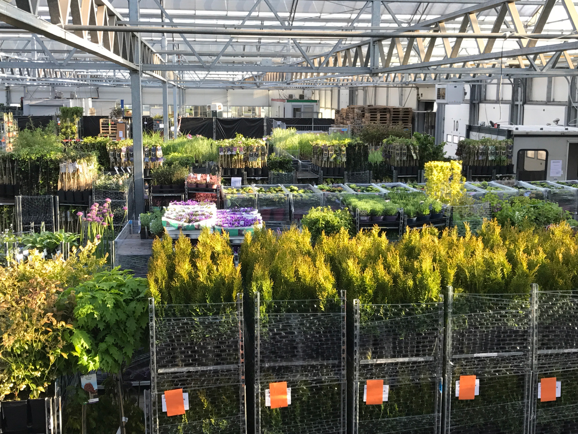 Homepage - Hortimex Holland